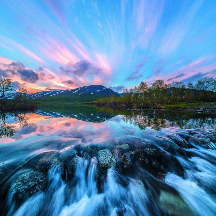 Фотовыставка «Дикая природа России — 2014»